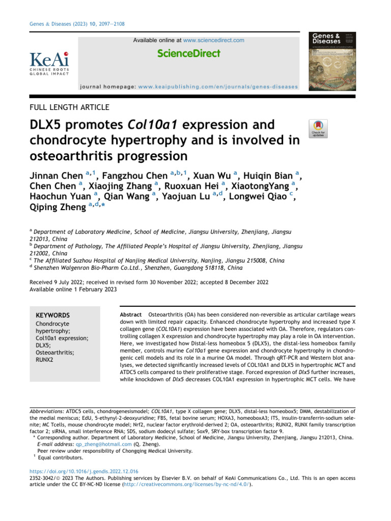 DLX5 Promotes Col10a1 Expression and Chondrocyte Hypertrophy and Is ...