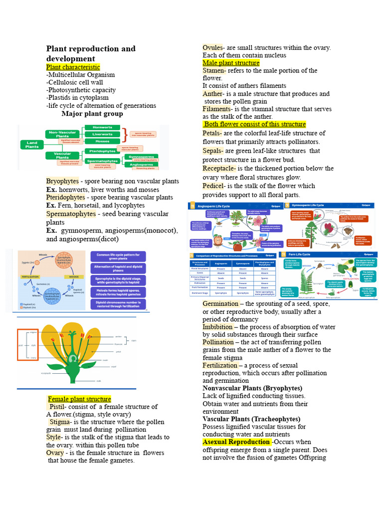 Animal and Plant Reproduction Overview | PDF | Embryo | Sexual Reproduction