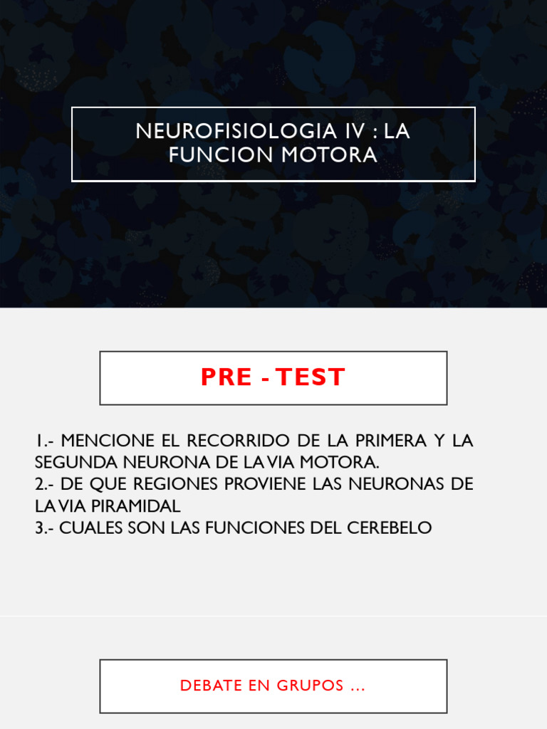 NEUROFISIOLOGIA 4 Funciones Motoras 2021 | PDF | Cerebelo | Materia gris