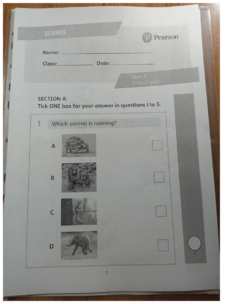 Science Final Q | PDF