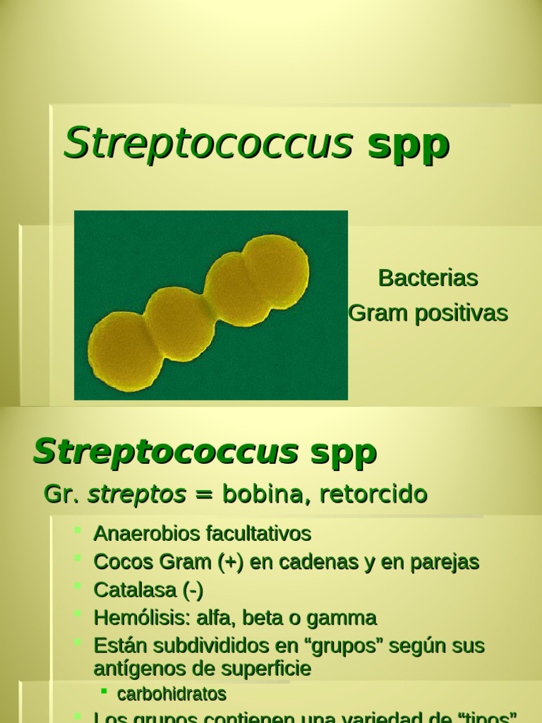 Género Streptococcus | PDF | Estreptococo | Inmunología