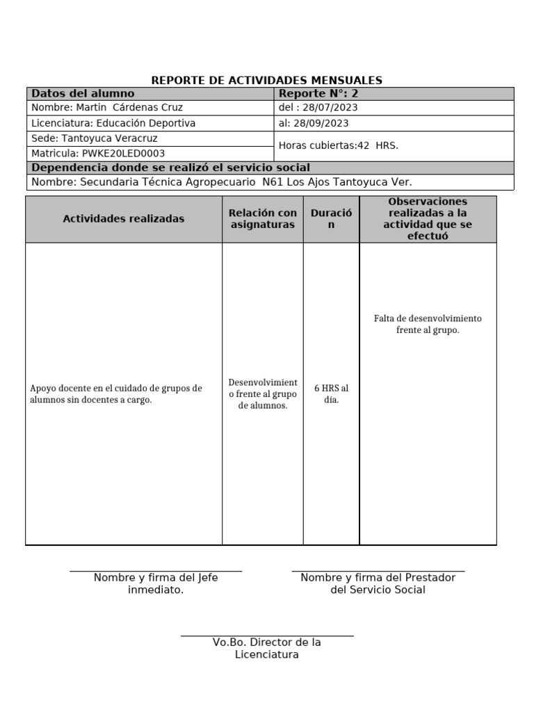 FORMATO SS-04 REPORTE MENSUAL Martín Cárdenas Cruz | PDF
