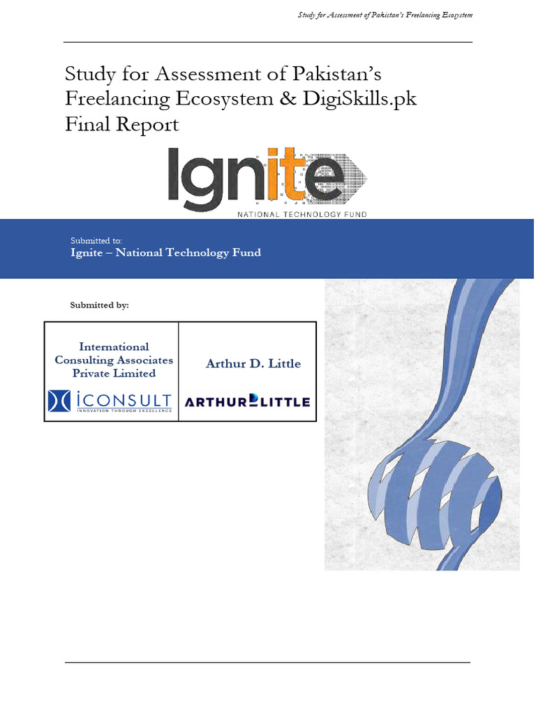 Final Report On Assessment of The Freelancing Ecosystem DigiSkills - PK ...