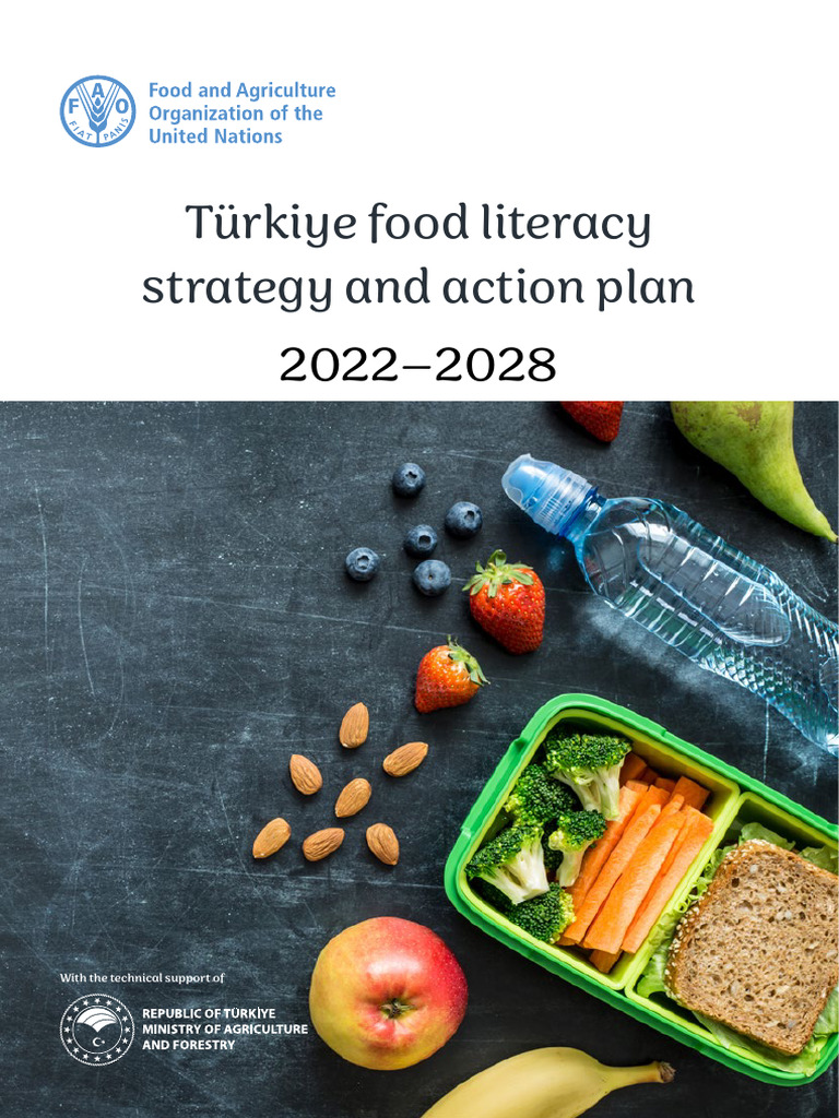 Türkiye Food Literacy Strategy and Action Plan 2022-2028 | PDF | Malnutrition | Vitamin