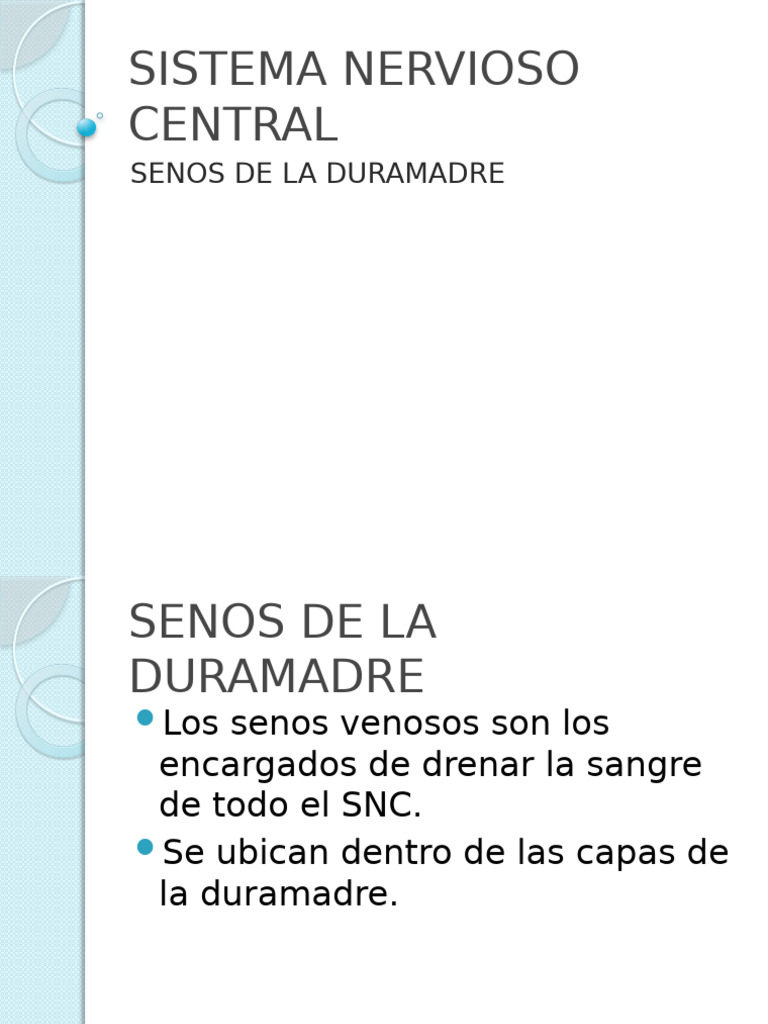 Senos de La Duramadre | PDF