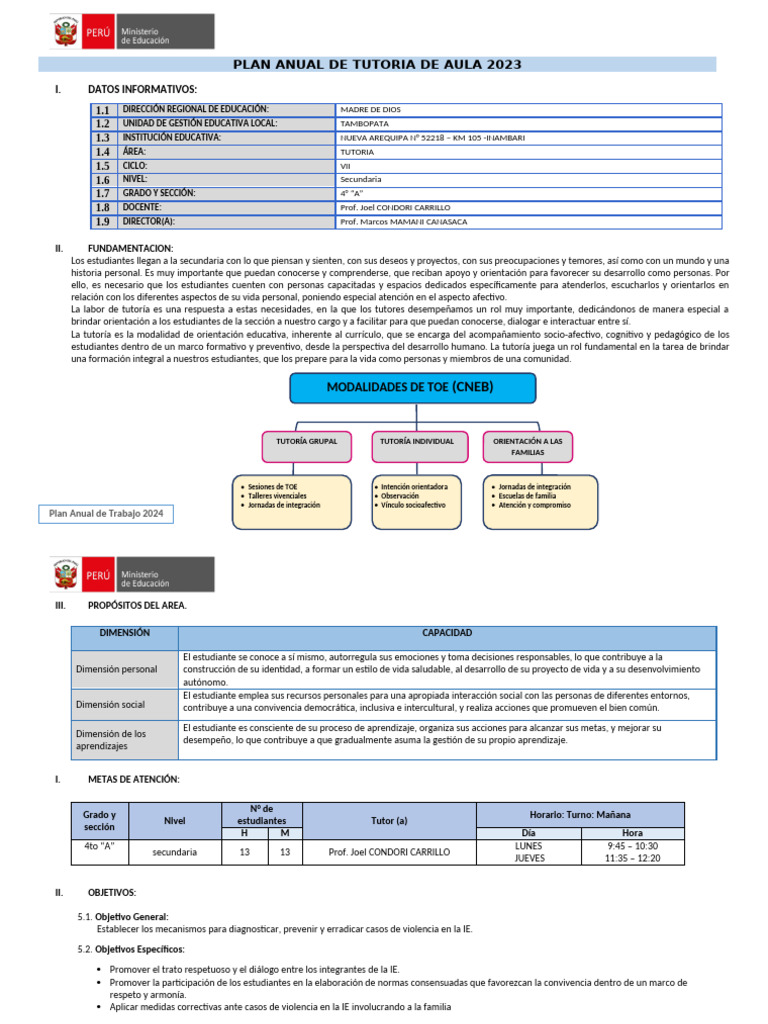 Plan Anual Tutoria 3° Sec | PDF | Aprendizaje | Evaluación