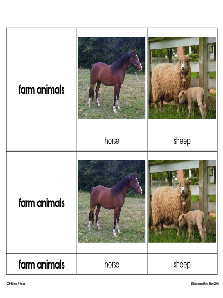 CCF-8 Farm Animals | PDF