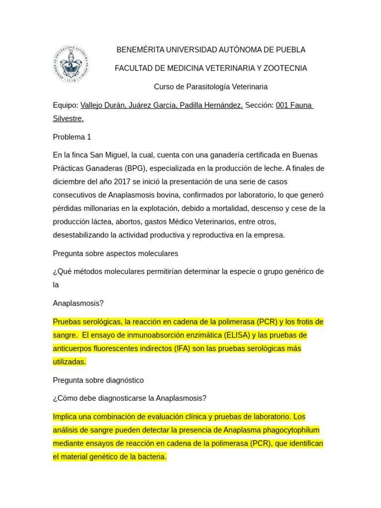 Diagnóstico y Tratamiento de Anaplasmosis Bovina | PDF | Vacas | Anemia