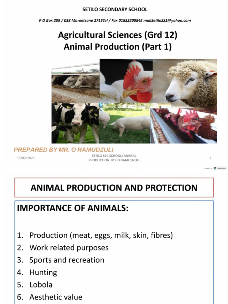 Animal Production 2022 Notes | PDF