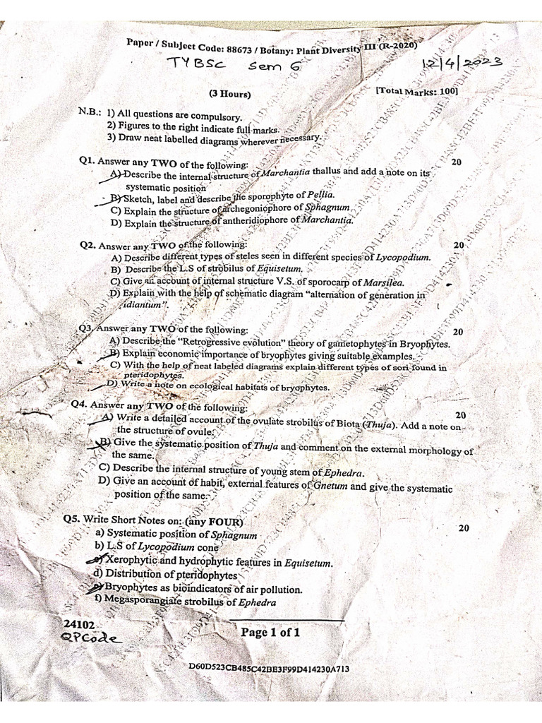 Question Paper Sem 6 | PDF