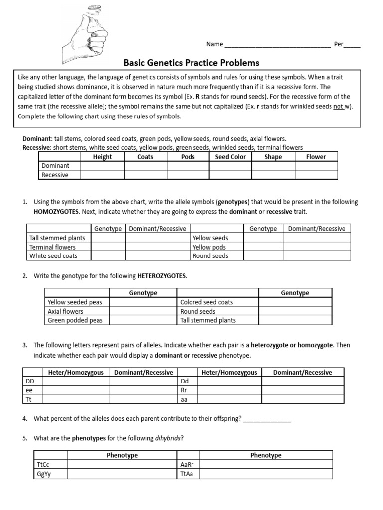 Basic Genetics Practice | PDF | Dominance (Genetics) | Genotype