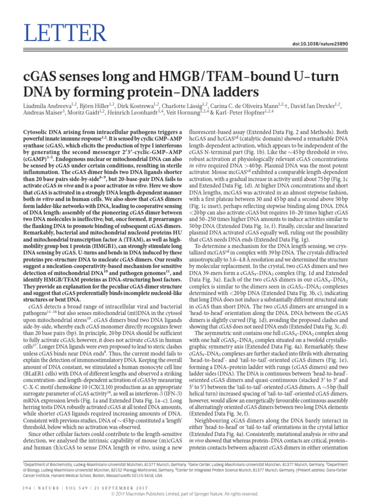 2017 - Nature - Andreeva Et Al - cGAS Senses Long and HMGB-TFAM-bound U ...