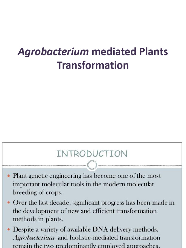 Agrobactrerium Mediated Transformation | PDF