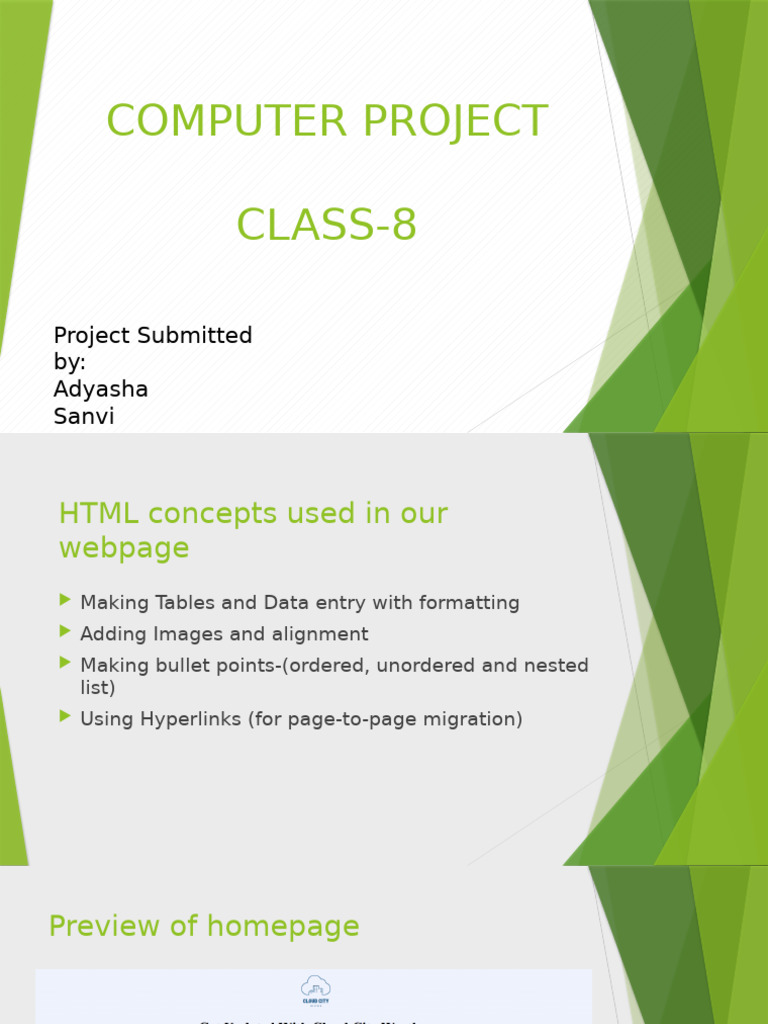 COMPUTER PROJECT - Class 8 | PDF