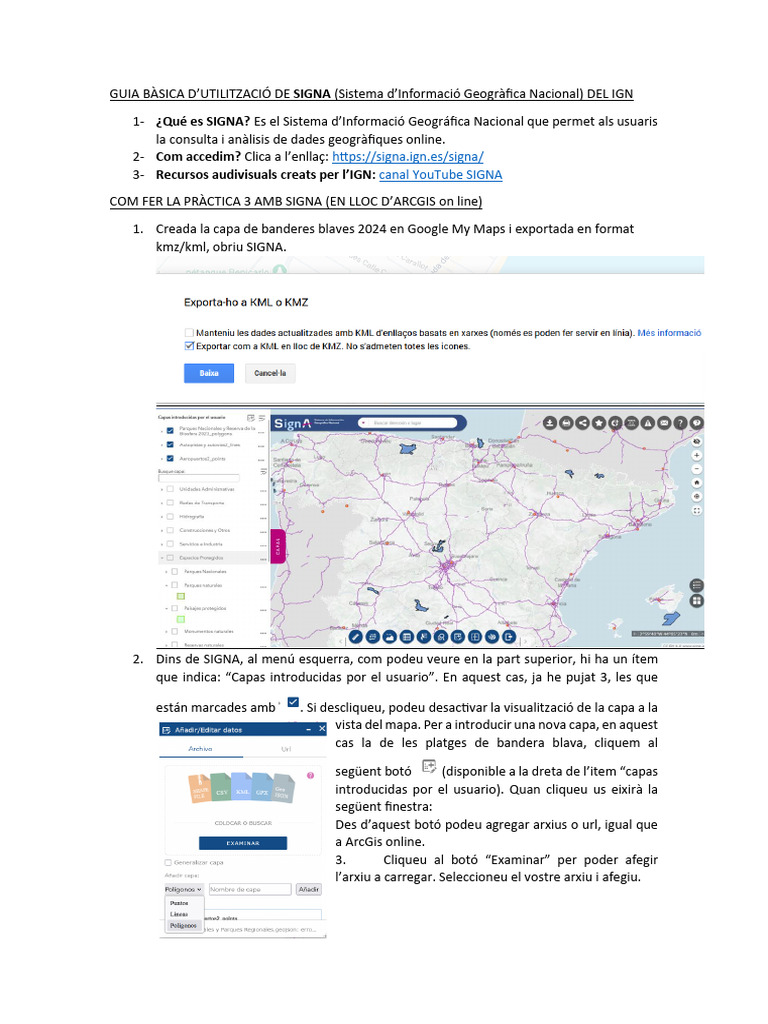 Guia Bàsica Signa Ign | PDF