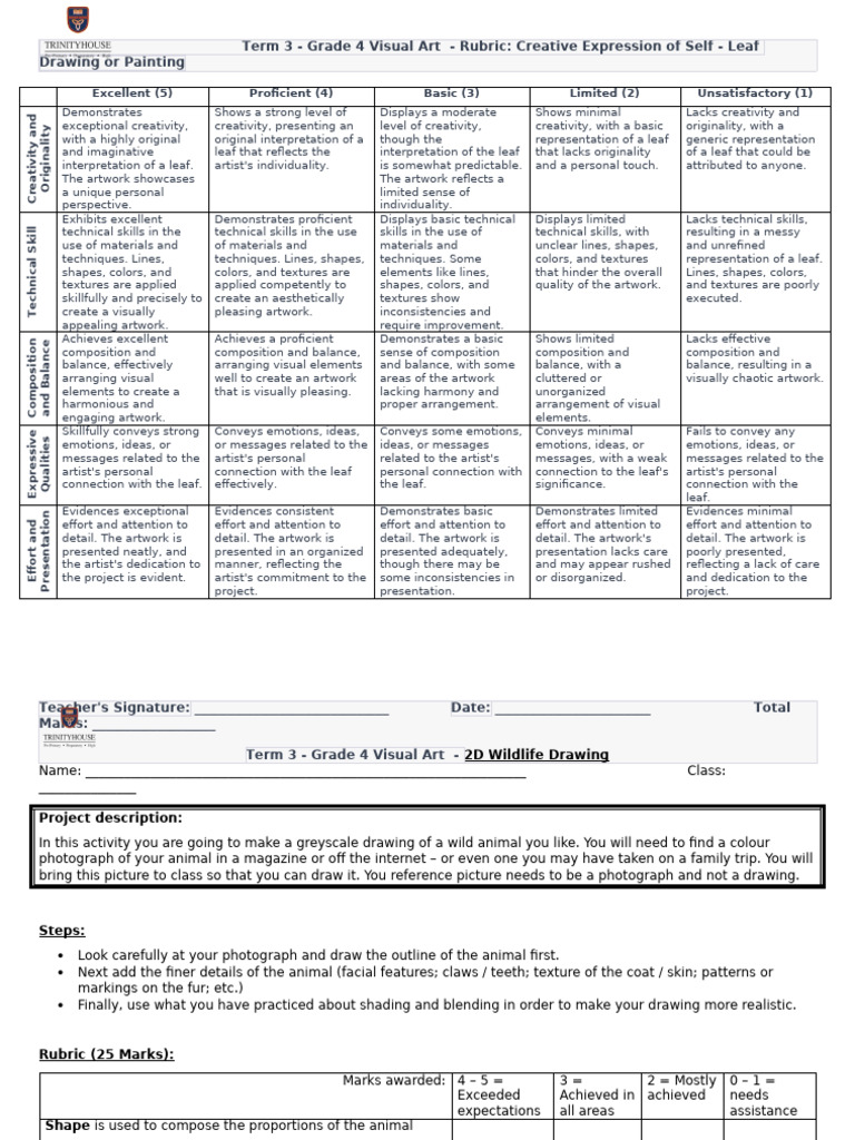 Grade 4 Visual Art 2D Project | PDF | Composition (Visual Arts) | Drawing