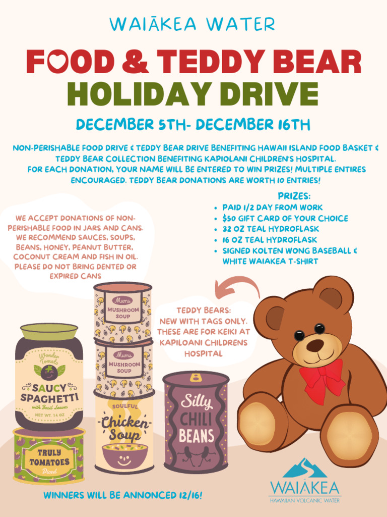 Food & Teddy Bear Drive Flyer | PDF