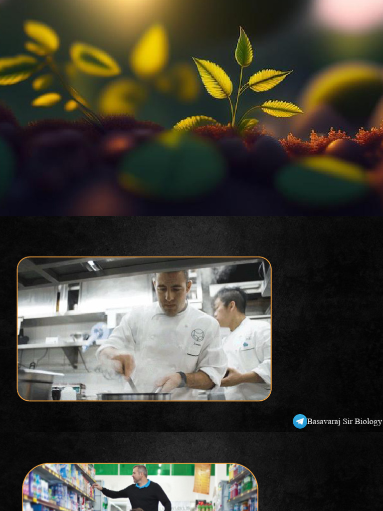 Plant Physiology- One Shot.pptx | PDF | Photosynthesis | Chloroplast