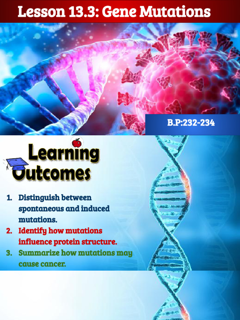 Lesson 13.3 - Gene Mutations | PDF | Mutation | Point Mutation