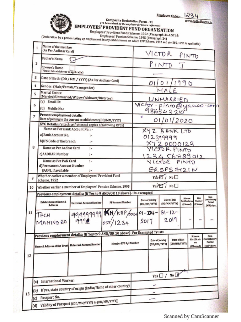 Sample - Composite Declaration Form 11 | PDF