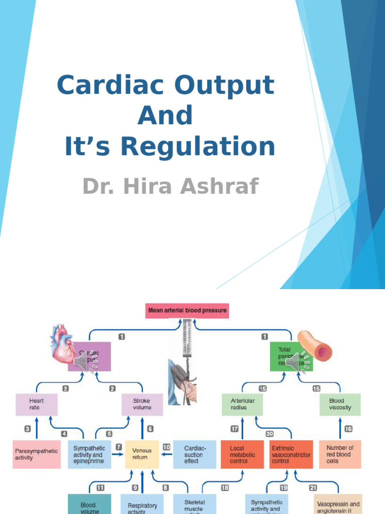 Cardiac Output - Venous Return BDS | PDF | Heart | Vein