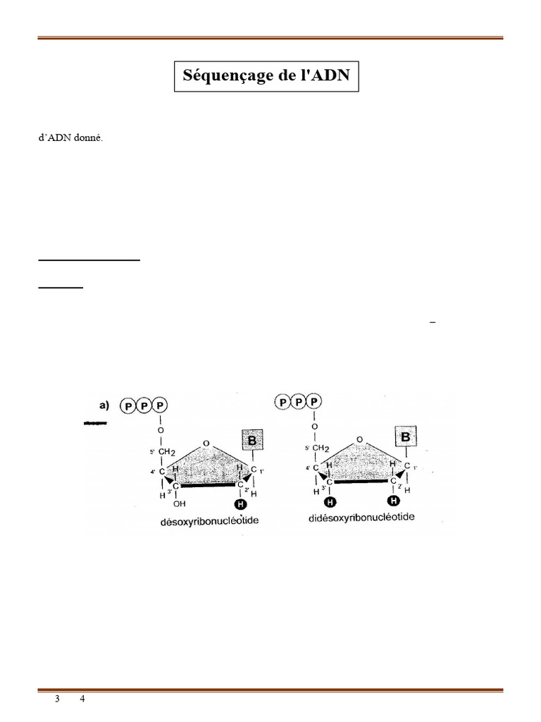 Séquençage de l'ADN : Méthodes Sanger et Maxam | PDF | Séquençage de l ...