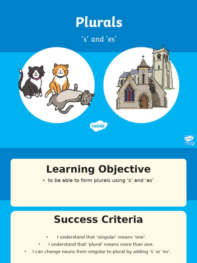 T L 2542 Plurals S and Es Teaching Powerpoint - Ver - 1 | PDF