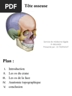 Anatomie des Os du Visage Humain | PDF | Anatomie humaine | Appareil ...