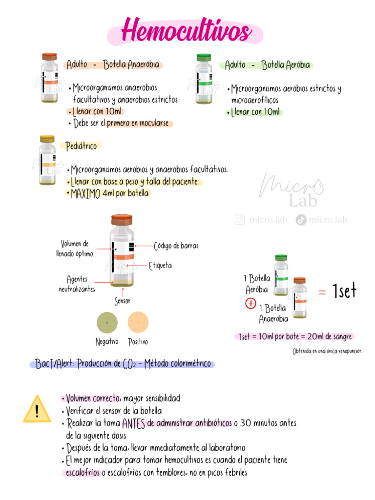 Tipos Y Procedimientos De Hemocultivos Pdf Medicina Clinica