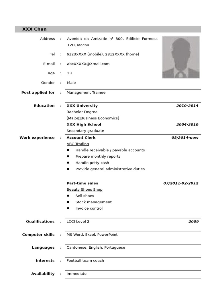 CV Template en | PDF