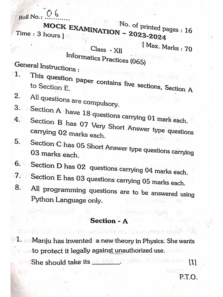 Ip Mock Exam Pyq | PDF