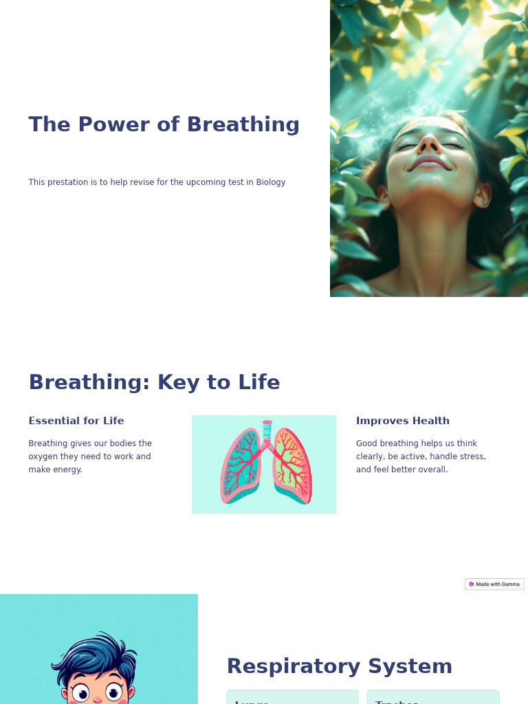 Breathing: Essential Biology Insights | PDF | Breathing | Respiratory ...