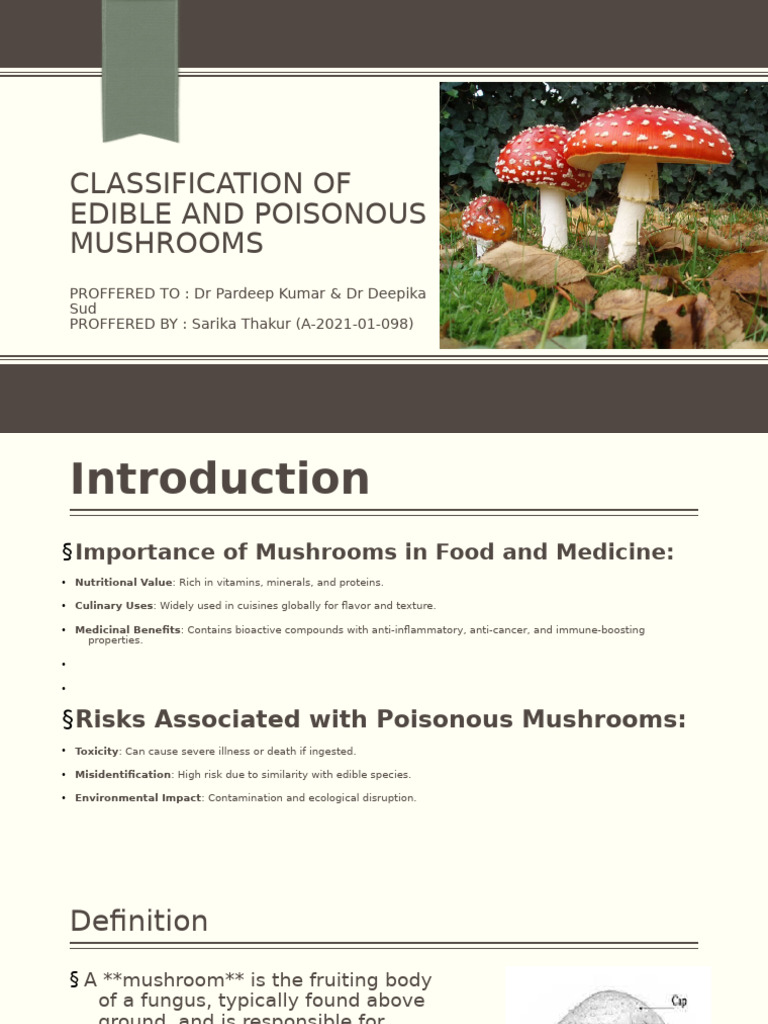 Classification of Edible and Poisonous Mushrooms | PDF | Mushroom | Edible Mushroom