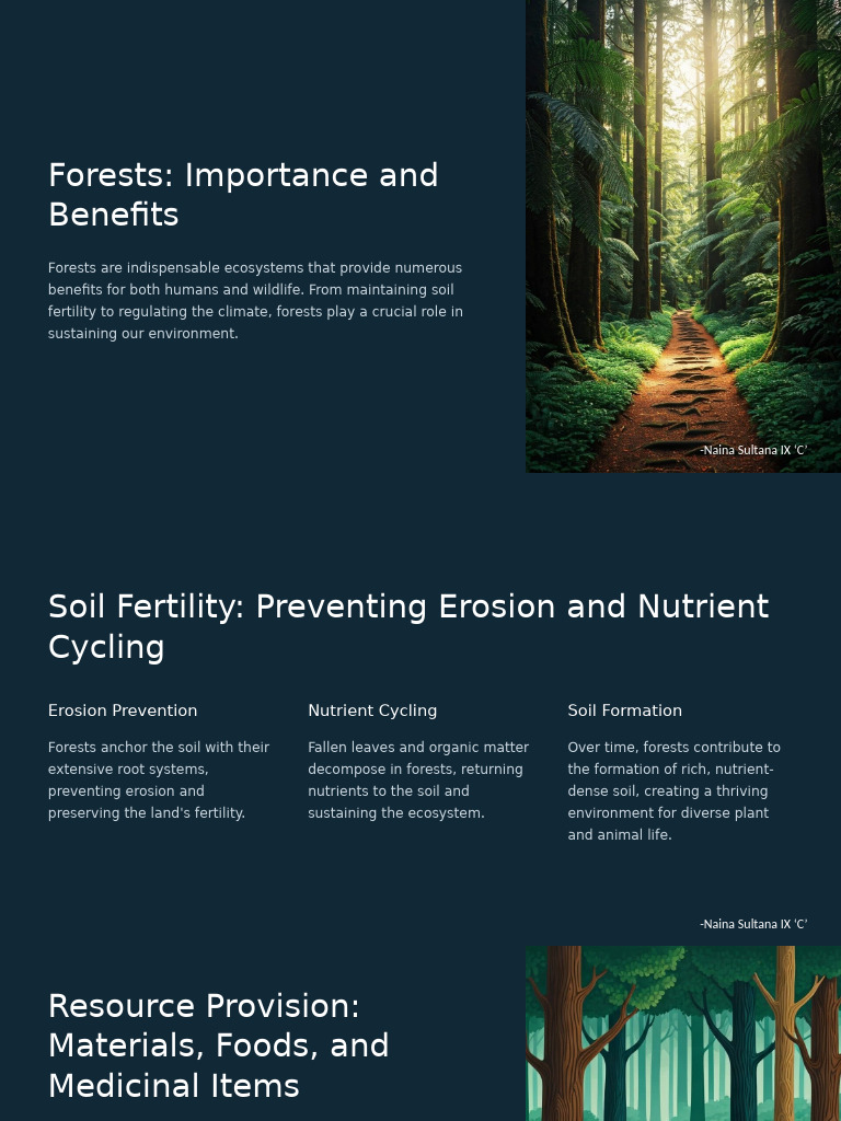 Importance and Benefits of Forests | PDF | Soil | Forests