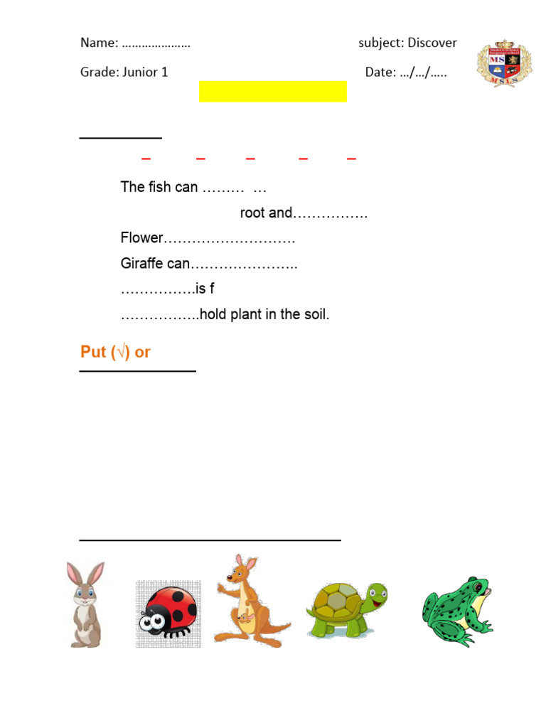 Junior 1 Discover Homework Worksheet | PDF
