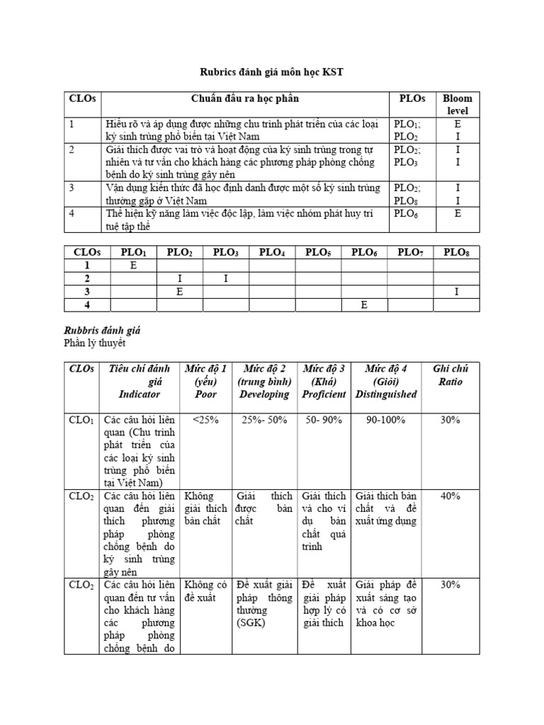 Rubrics đánh giá KST | PDF