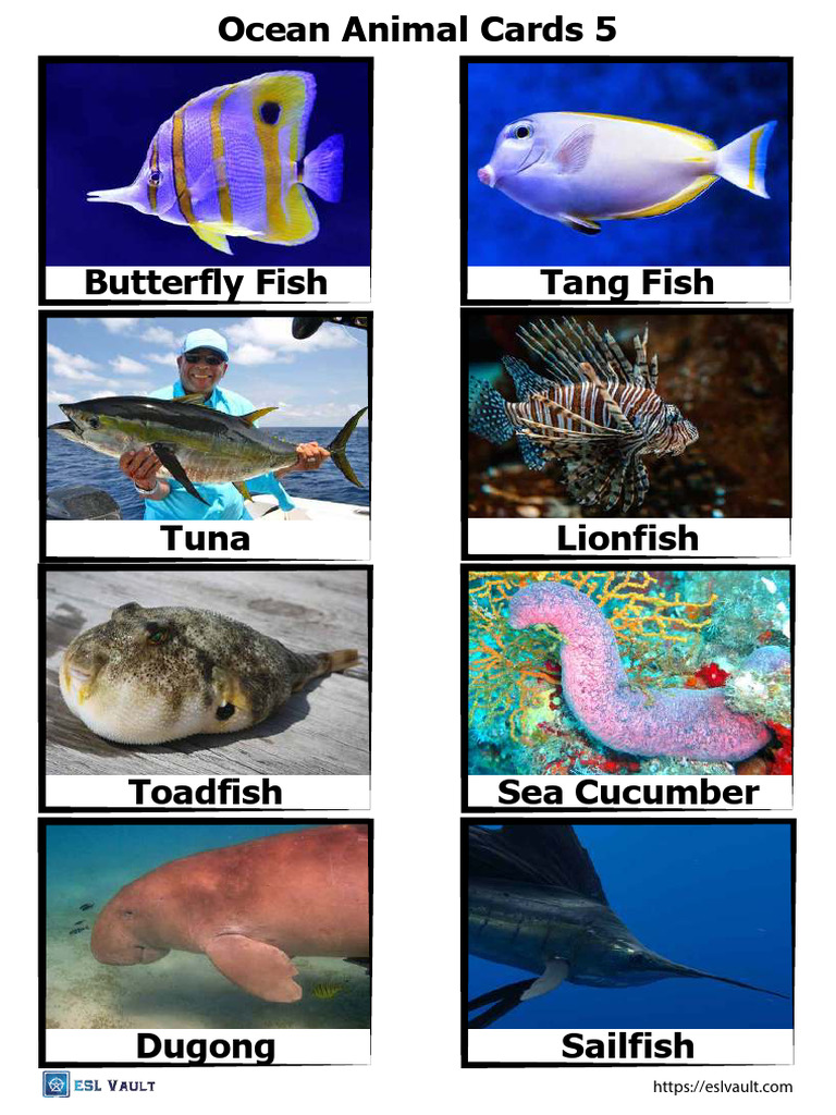 Free Printable Ocean Animal Cards 5 | PDF
