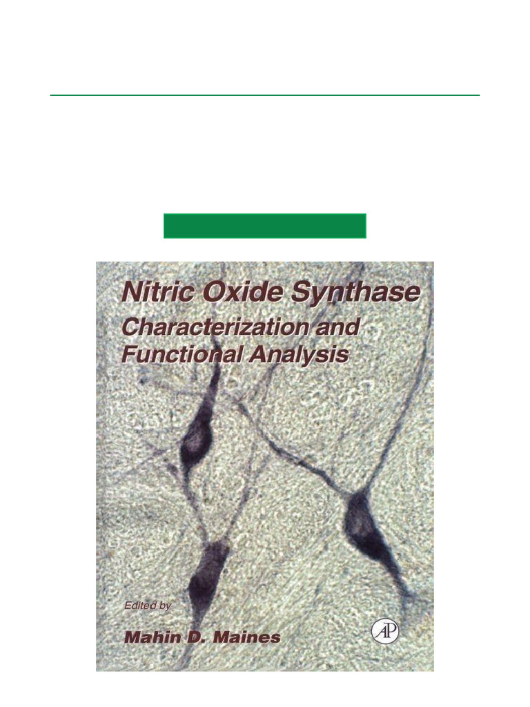 Nitric Oxide Synthase Characterization and Functional Analysis Characterization and Functional ...