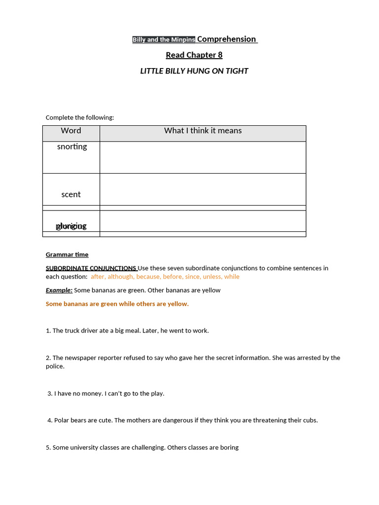 Billy and The Minpins Chapter 8 Homework | PDF