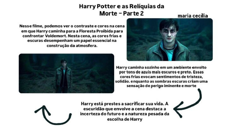harrypotter trabalho - Maria Cecília | PDF