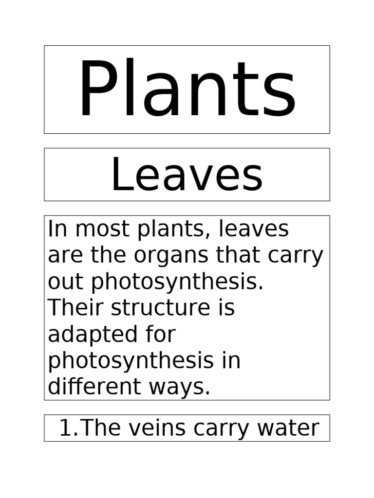 Plants | PDF