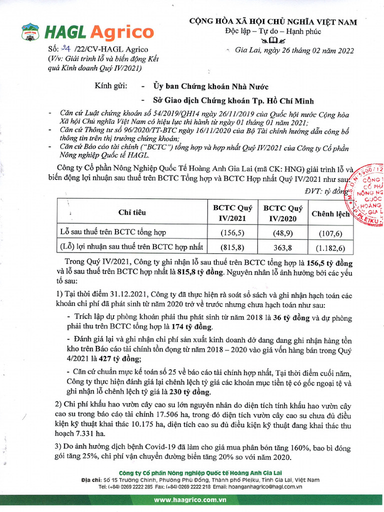 HNG Baocaotaichinh Q4 2021 Congtyme | PDF