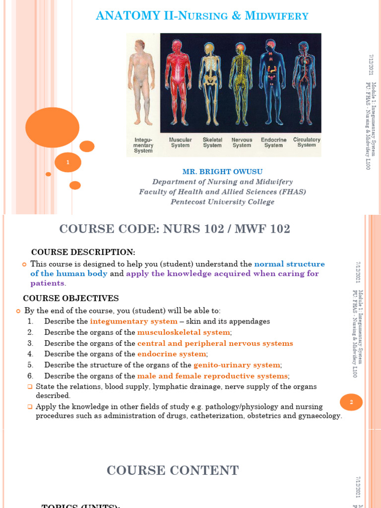 Anatomy II - Module 1 - Student - Integumentary System-2021 - 075431 | PDF | Integumentary ...
