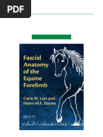 How To Write A Nature Abstract | PDF | Microtubule | Cellular Processes