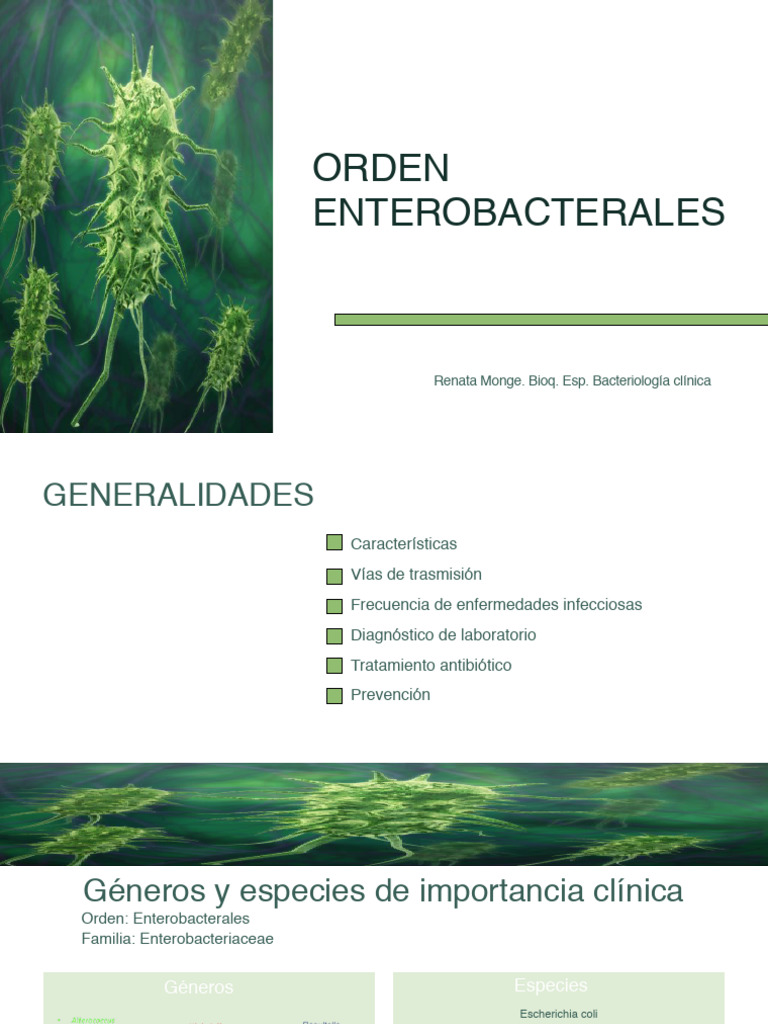 Enterobacterales 2025 | PDF | Escherichia coli | Lipopolisacárido