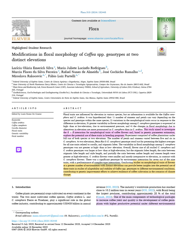 Modifications in Floral Morphology | PDF | Flowers | Petal