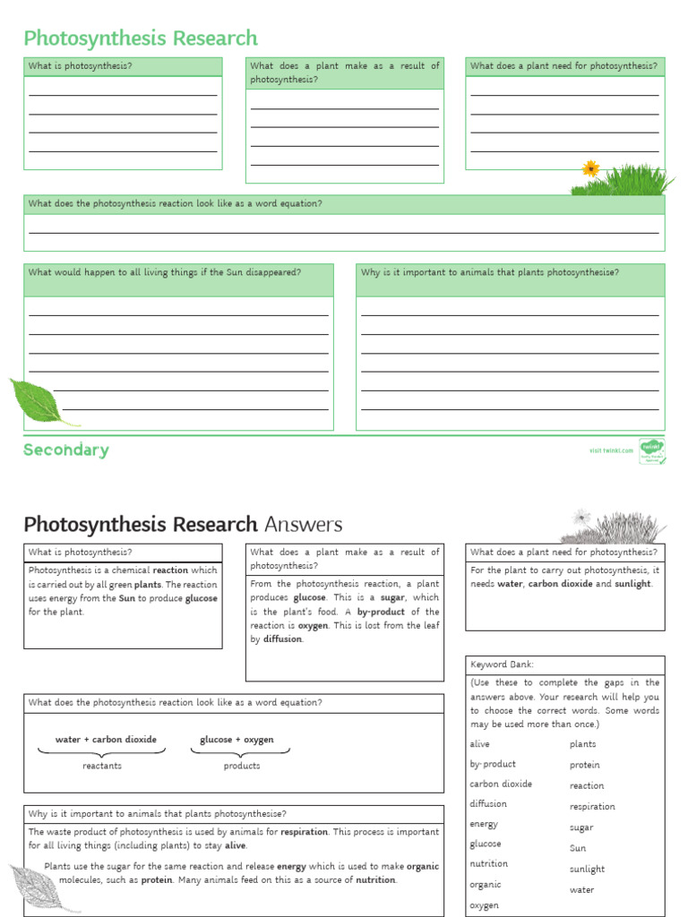 Photosynthesis Research Questions Differentiated HA | PDF ...