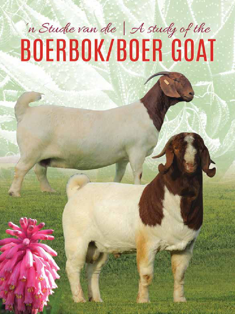 2016 Boerbok Studenteboek | PDF