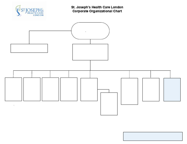St. Joseph's Health Care Org Chart 2024 | PDF | Health Care | Medicine