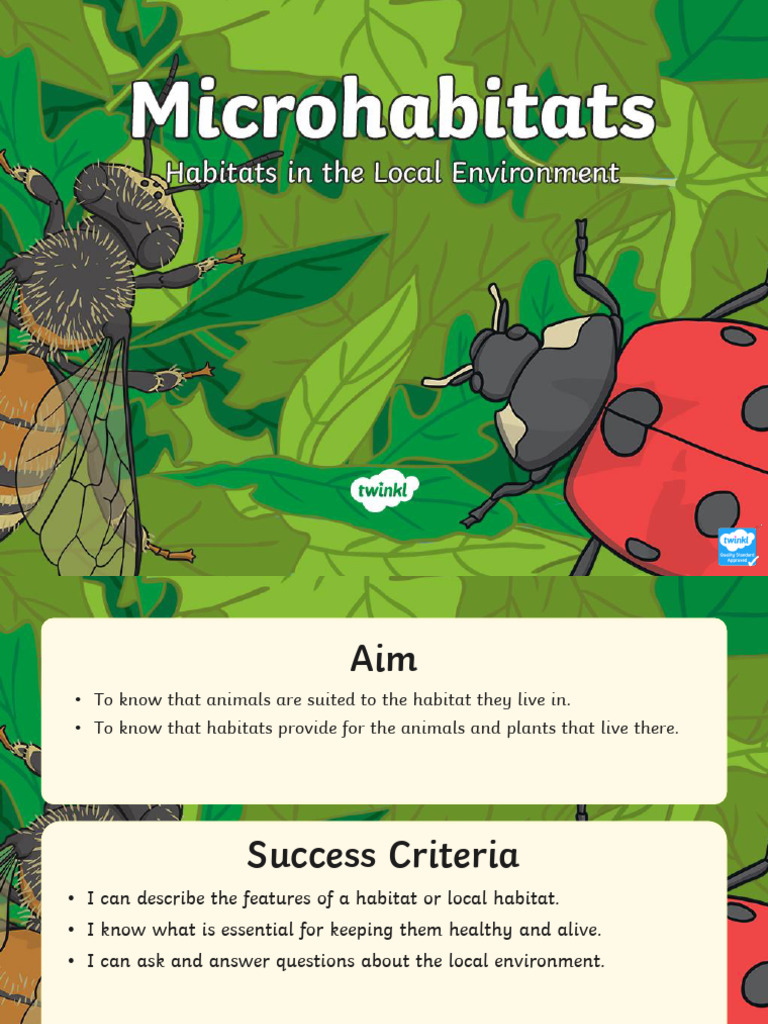 Microhabitats Lesson Presentation | PDF | Habitat | Biology